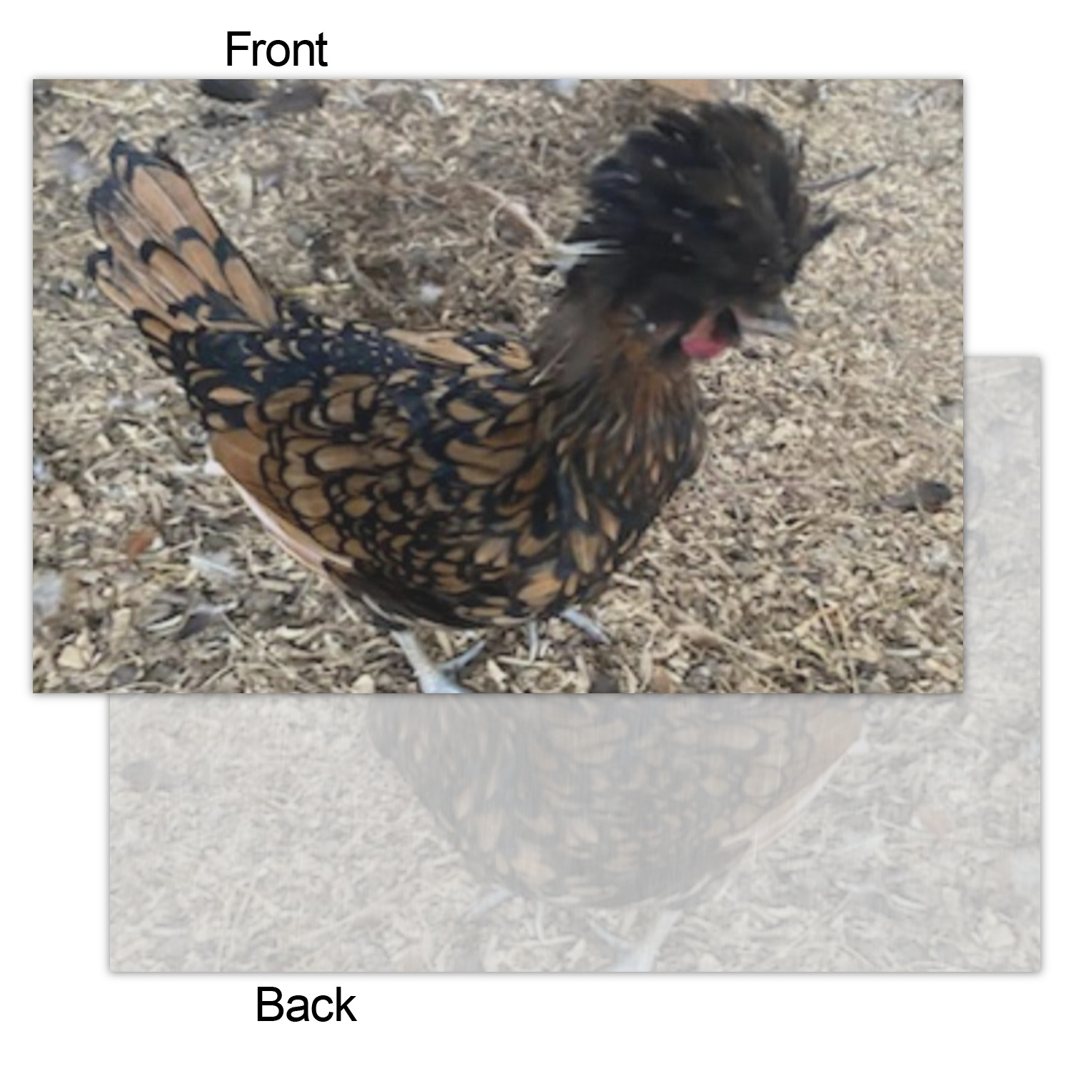 Custom Tissue Paper Sheets | Design & Preview Online | YouCustomizeIt