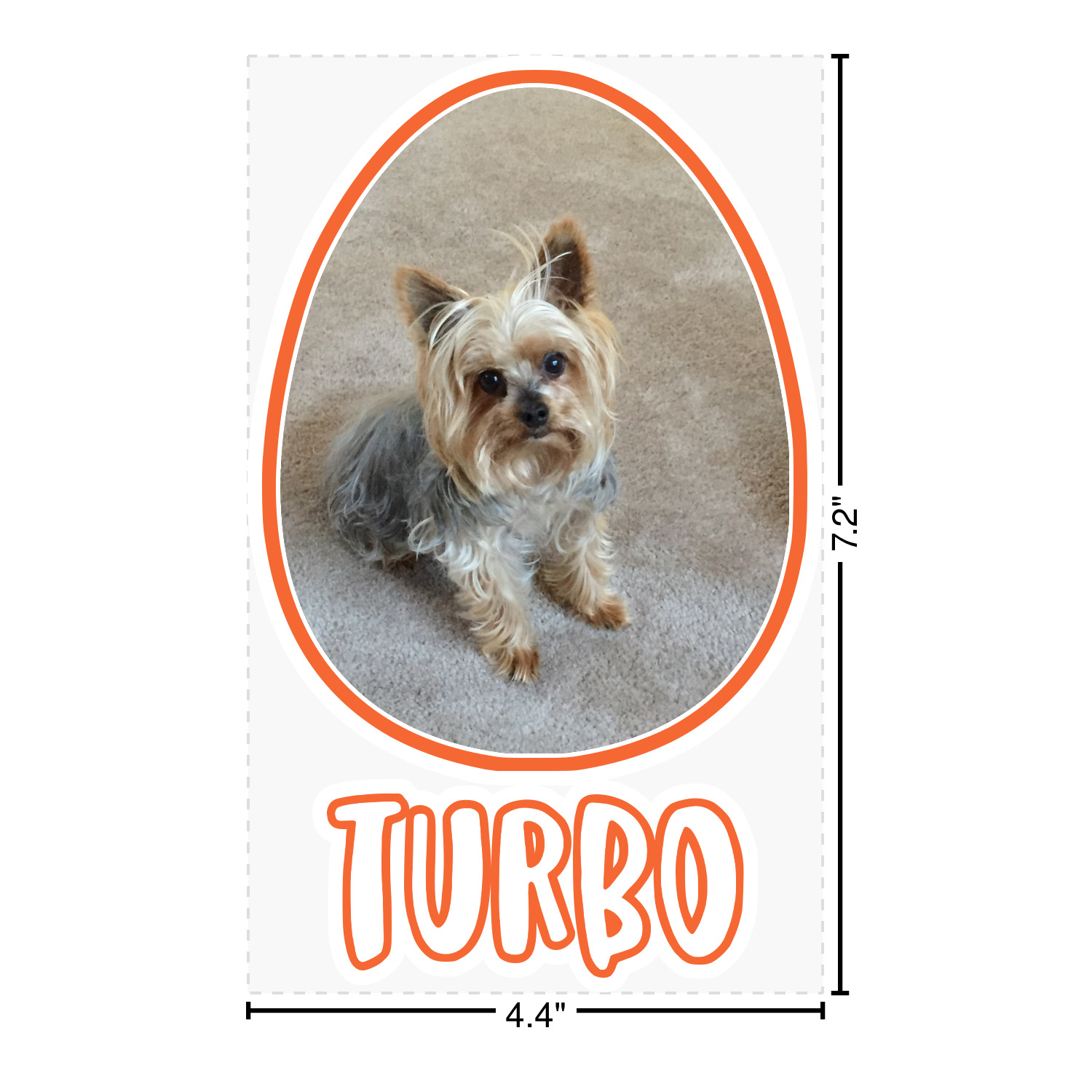 Custom Pet Photo Graphic Car Decal (Personalized) | YouCustomizeIt