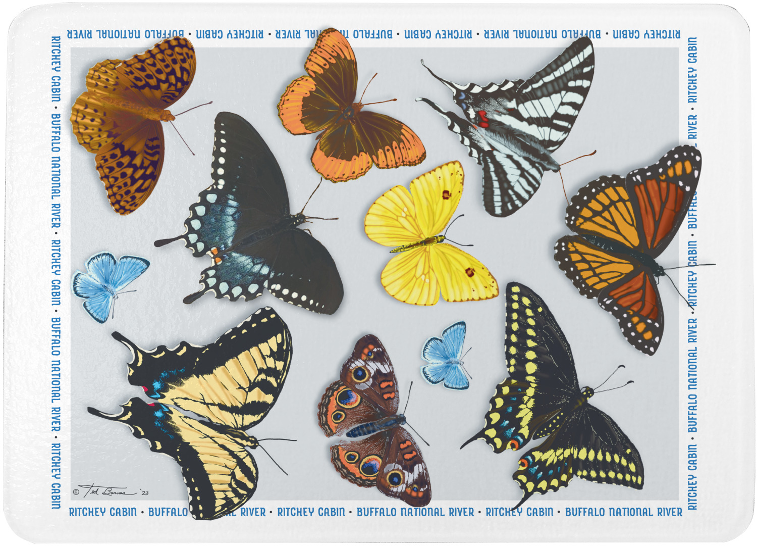 Custom Rectangular Glass Cutting Boards - Medium - 11" x 8" | Design ...