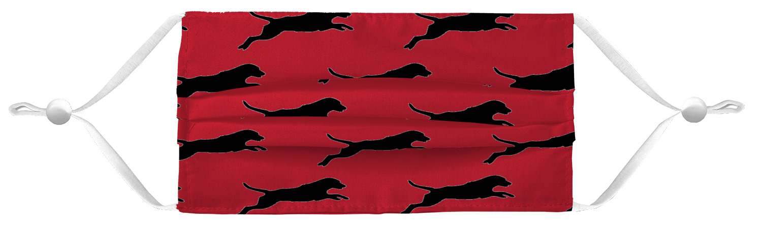 Design Your Own Face Mask Cover | YouCustomizeIt