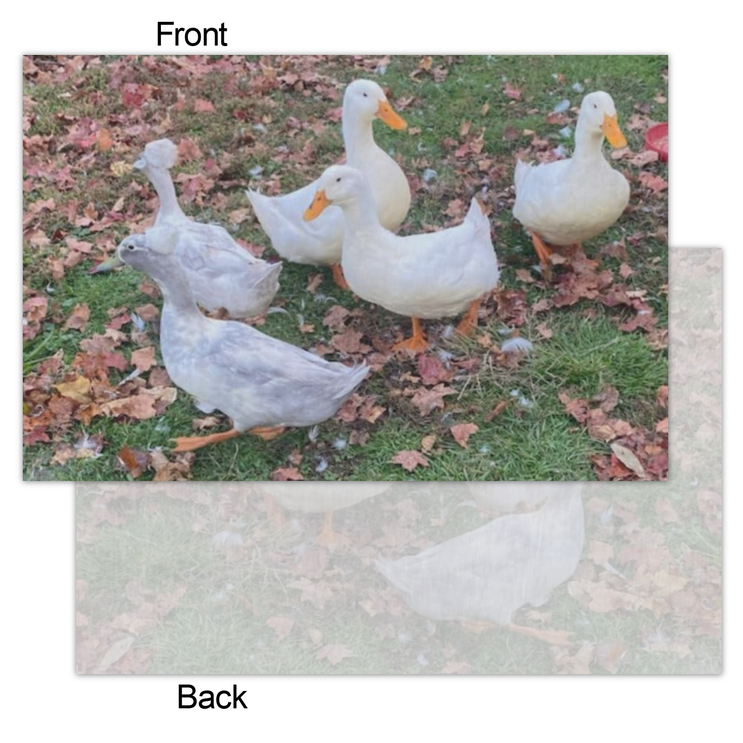 Custom Tissue Paper Sheets | Design & Preview Online | YouCustomizeIt