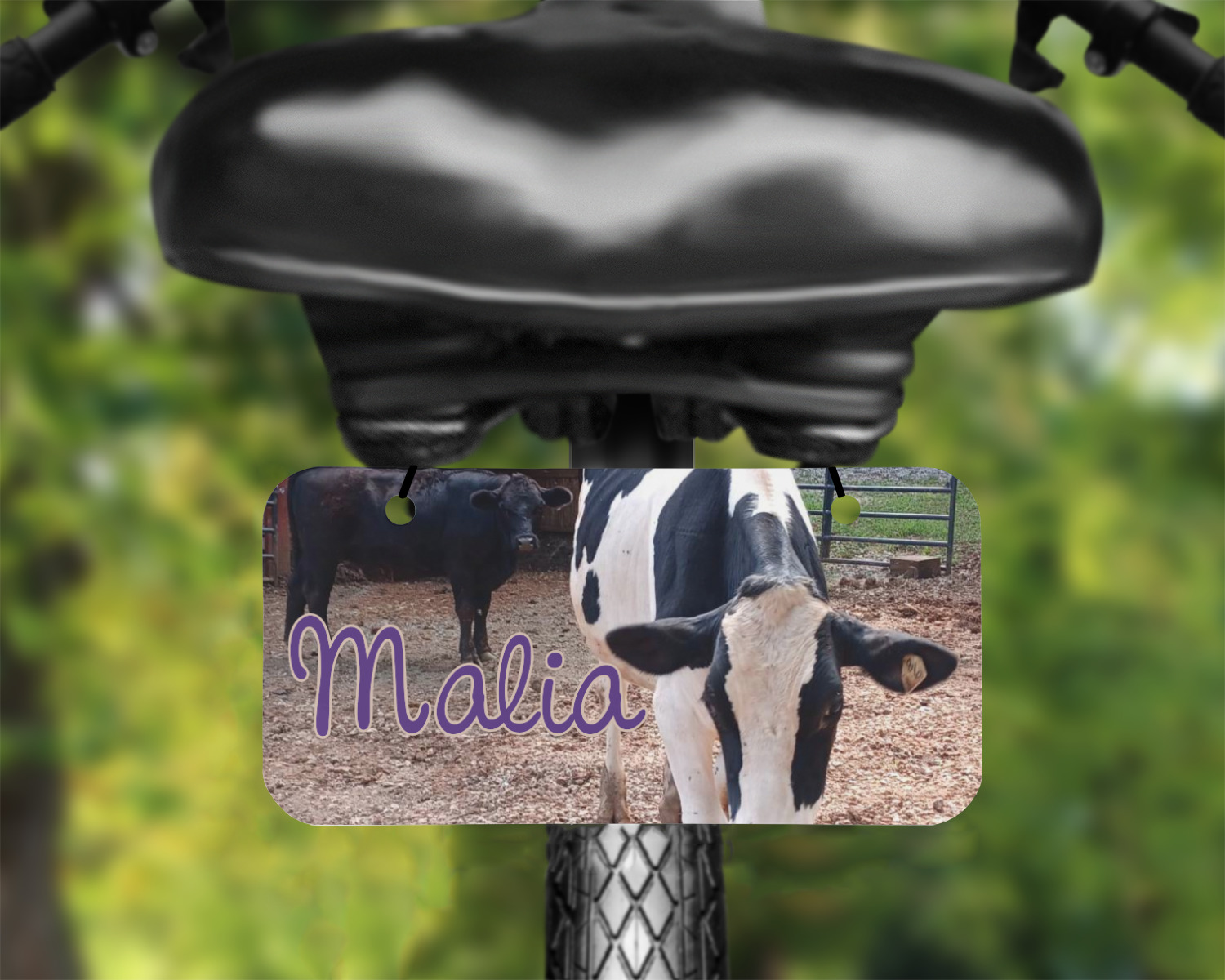 Custom Mini / Bicycle License Plates - 4 Holes | Design & Preview ...