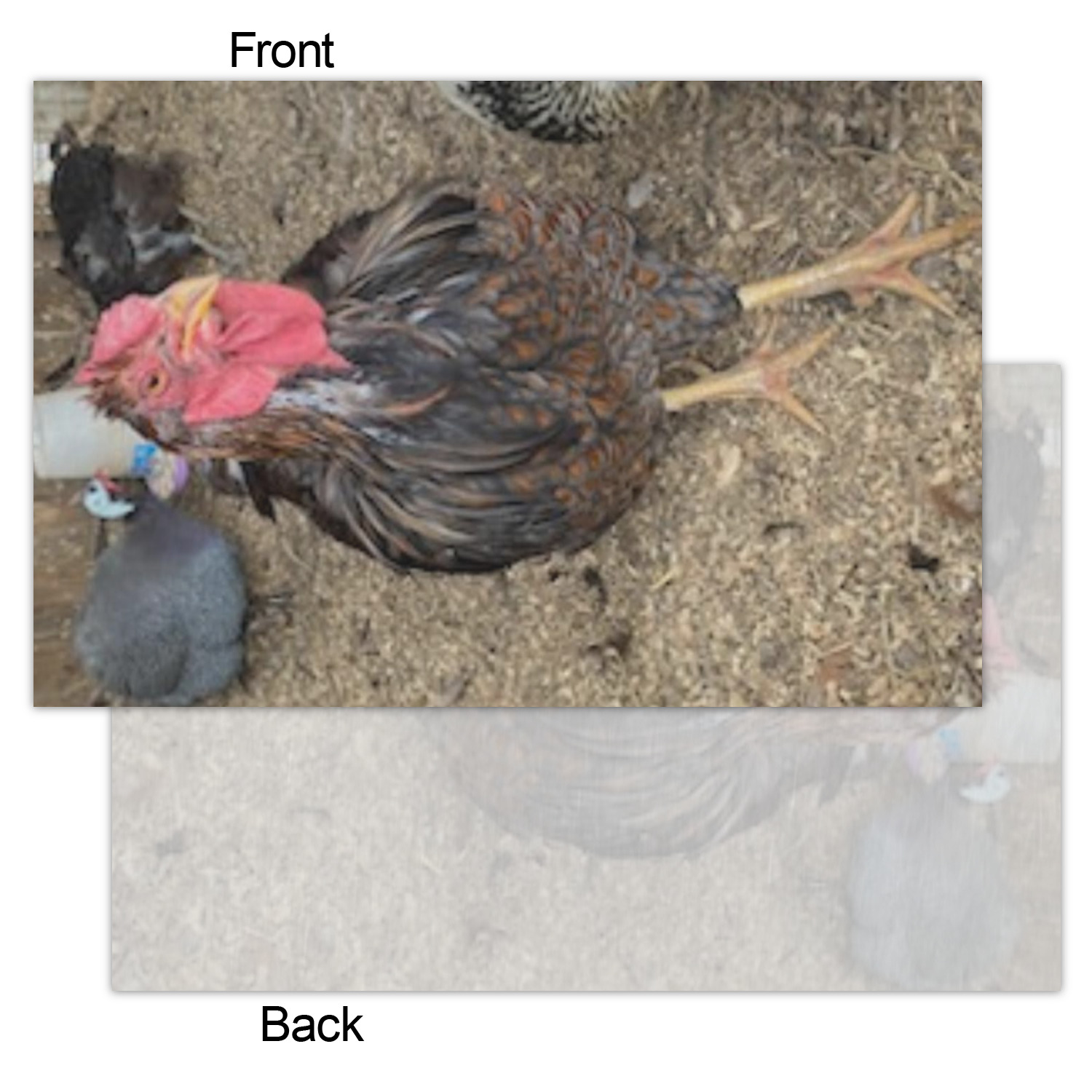 Custom Tissue Paper Sheets | Design & Preview Online | YouCustomizeIt