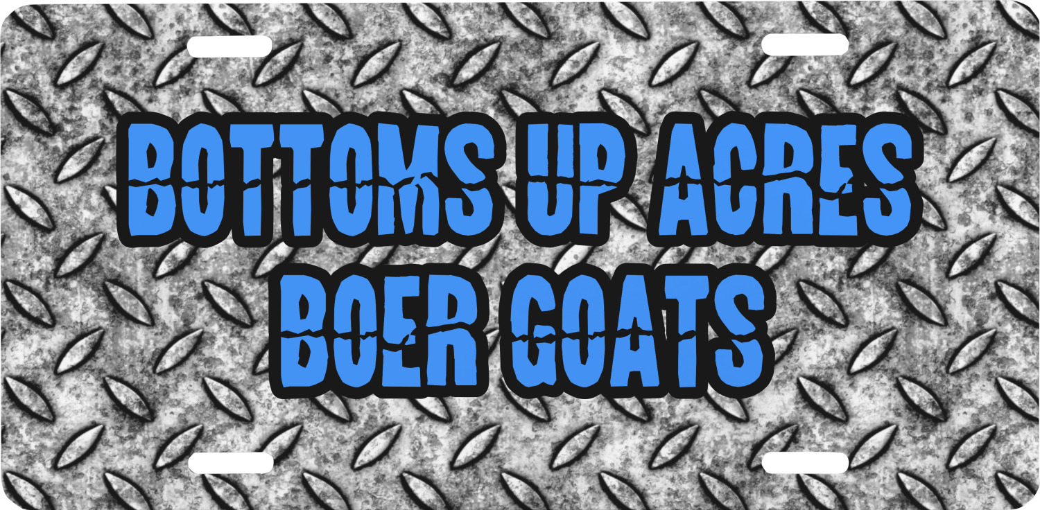 Custom Diamond Plate Front License Plate (Personalized) | YouCustomizeIt