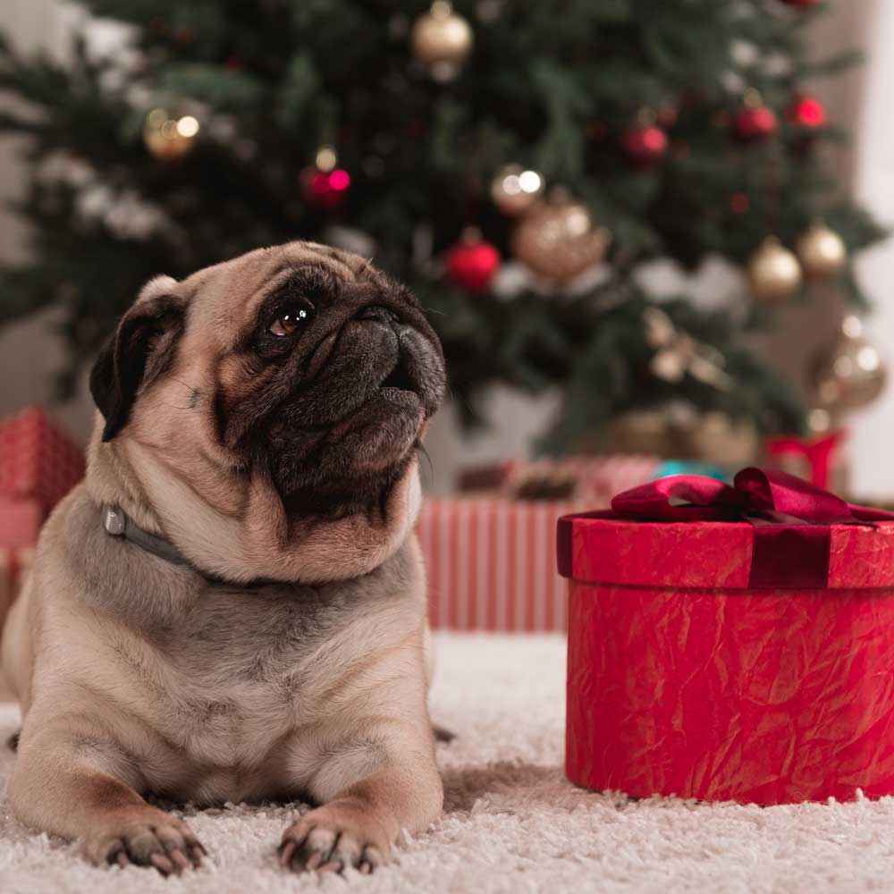 Personalized Gifts | Design & Preview Online - YouCustomizeIt